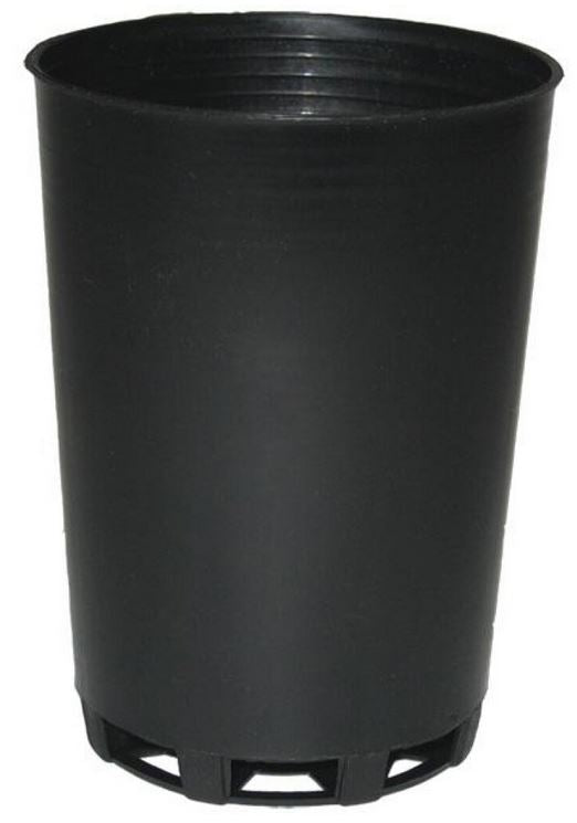 Pots - 50mm Tube Pack Of 50 – Orchids-R-Us